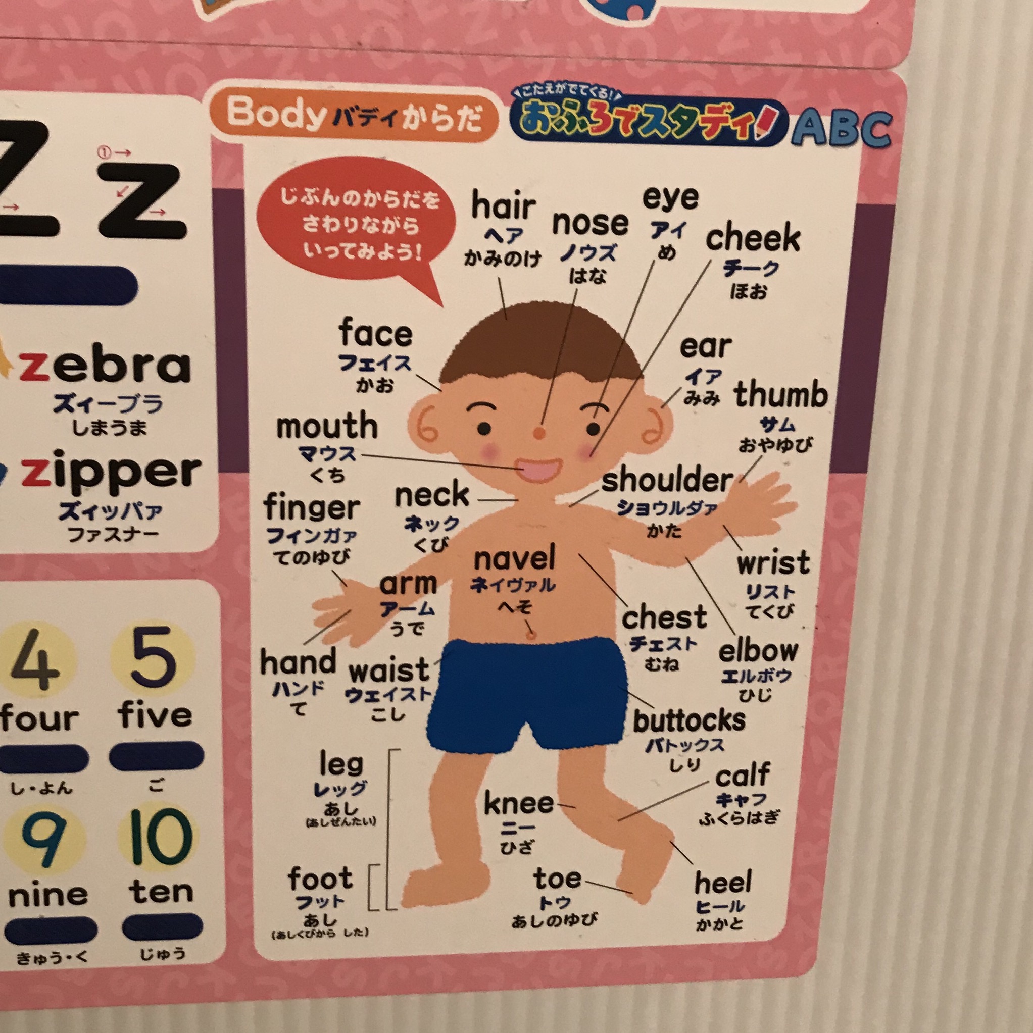 2歳でアルファベットを覚えた!お風呂に貼れるABCポスターをご紹介 | ままれーる